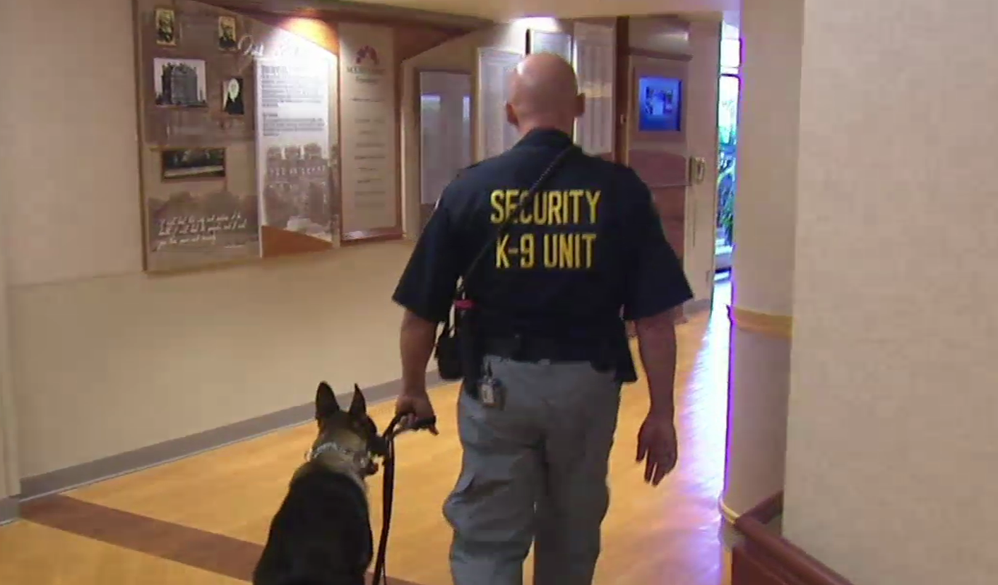 Security Jobs At Hospitals Security Guards Companies security-jobs-at-hospitals-security-guards-companies