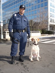Security Agencies in DC - Security Guards Companies