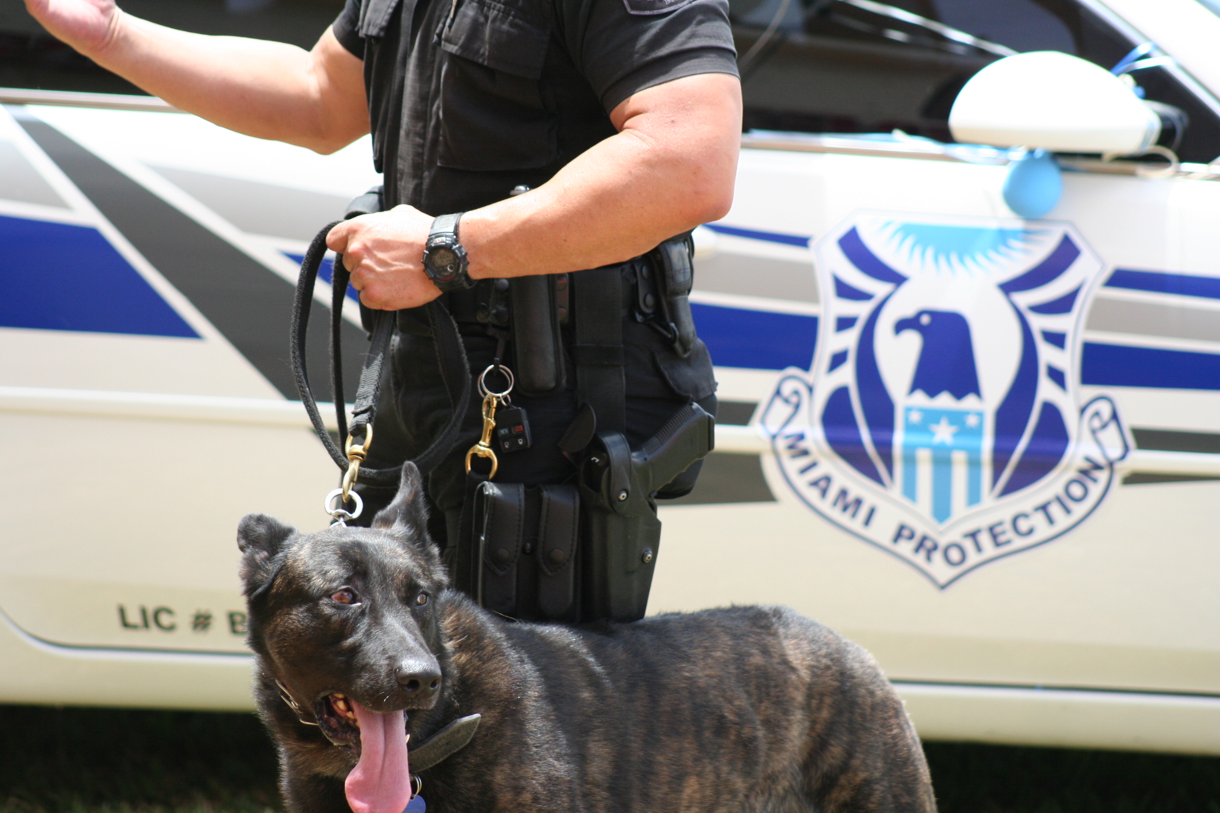 Security Guard Training South Florida - Security Guards Companies