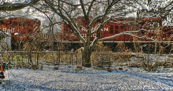 Services Department Transfer Order - Security Guards Companies