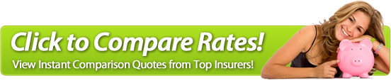 Compare Multiple Auto Insurance Quotes - Security Guards Companies